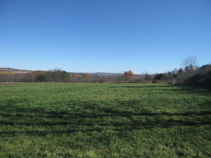 Hess Rd, Minden, NY 13339 (Sold NYStateMLS Listing #10355472)