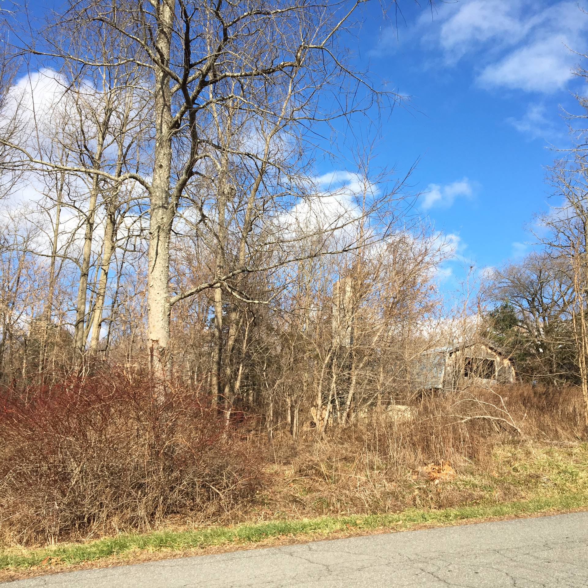 148 Whitbeck Rd Coeymans Hollow NY 12046 Sold NYStateMLS Listing