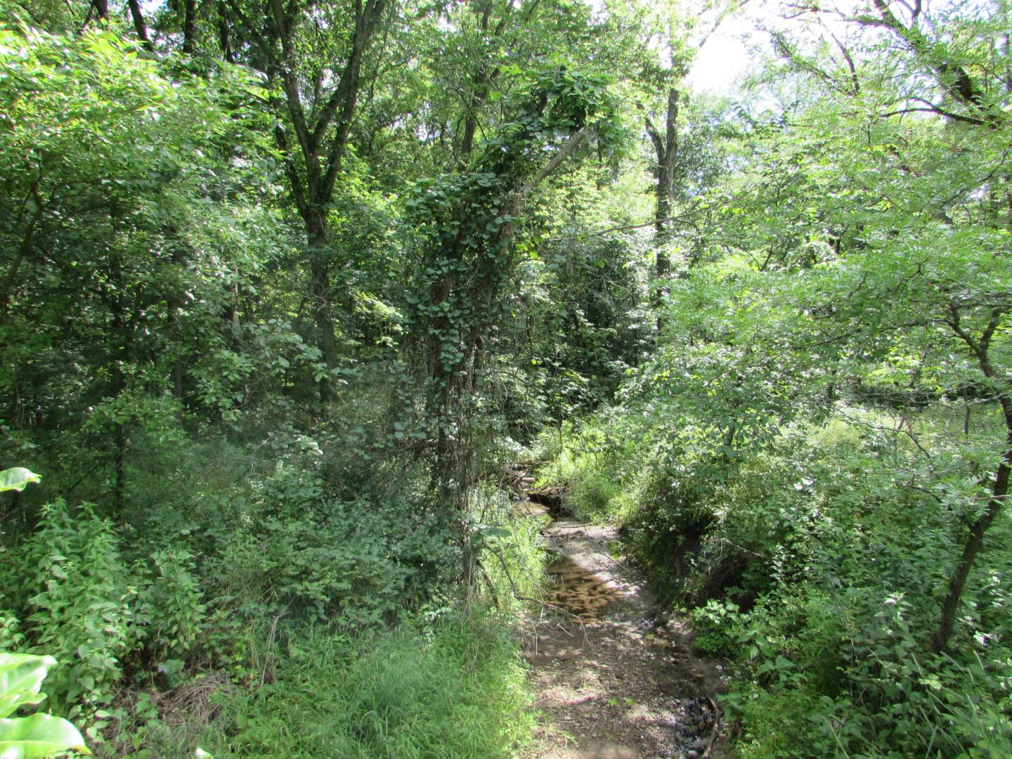 3356-se-cook-rd-maysville-mo-64469-sold-nystatemls-listing-10423511
