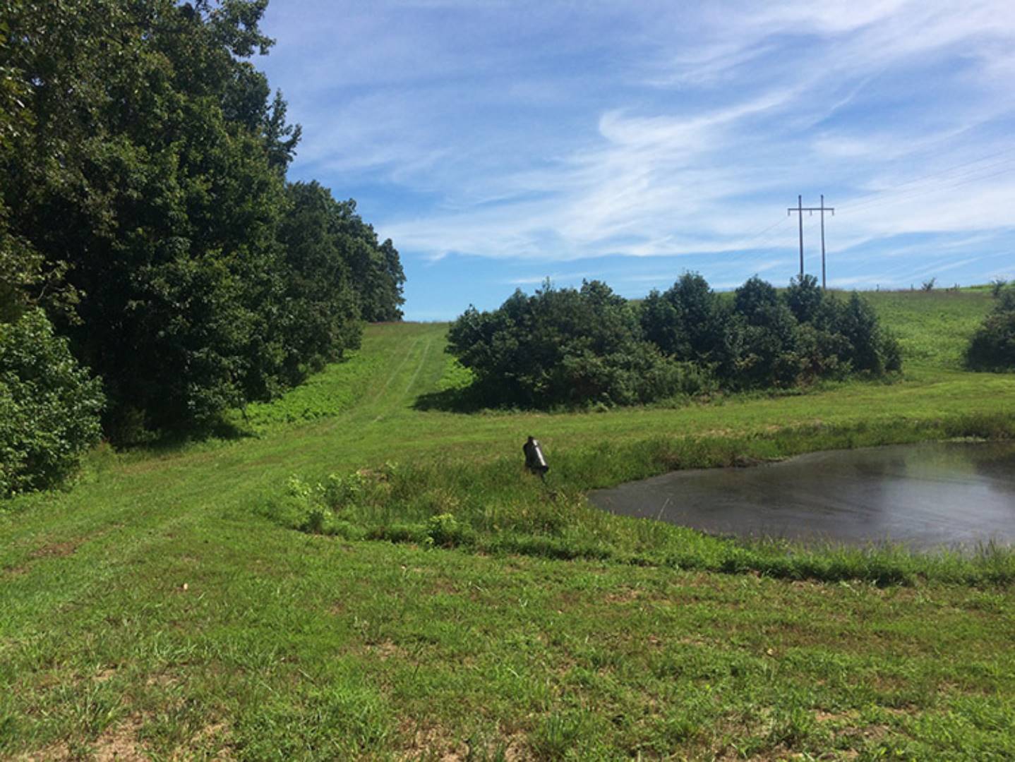 Lamkin Lane, Raywick, KY 40060 (Off Market NYStateMLS Listing #10432463)