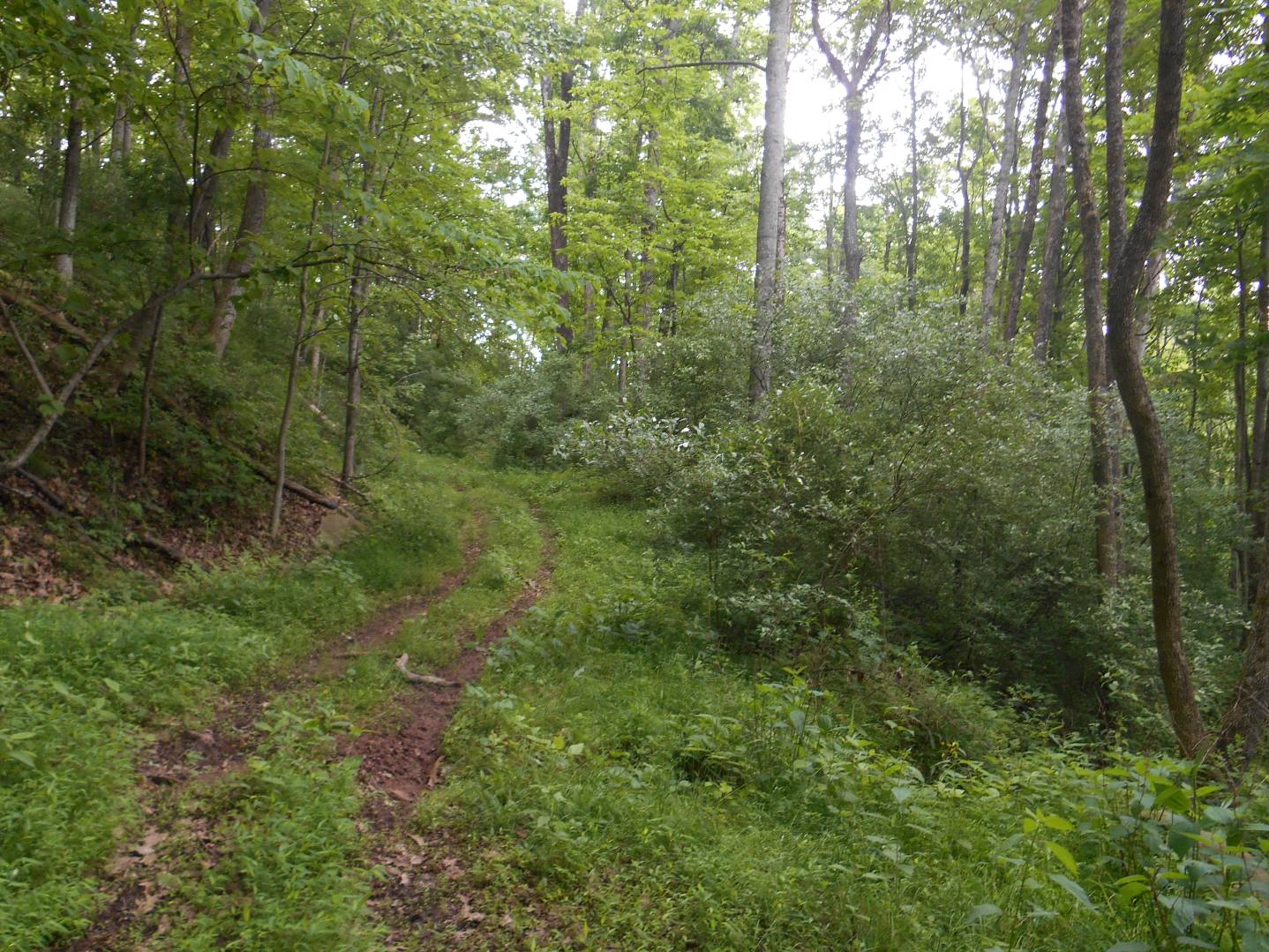 1 Co. Rt. 28/5, Linn, WV 26384 (Sold MyStateMLS Listing #10446218)