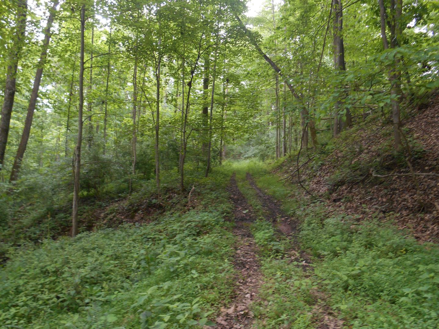 1 Co. Rt. 28/5, Linn, WV 26384 (Sold MyStateMLS Listing #10446218)