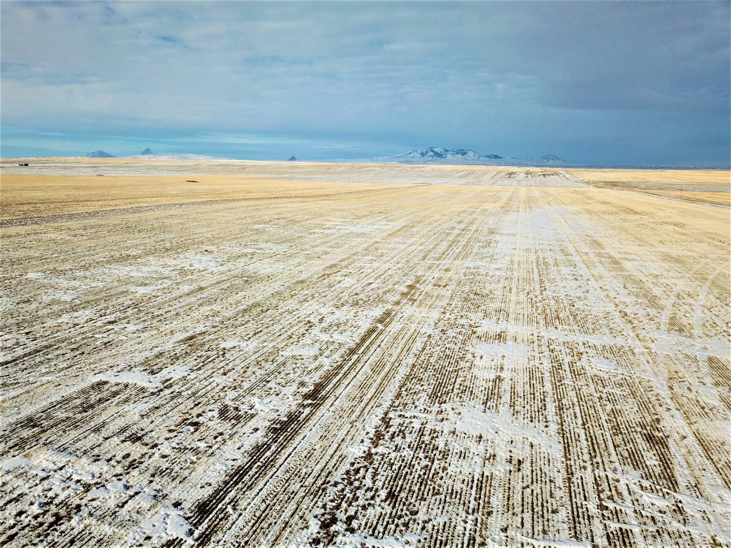 Tiber Rd North, Chester, MT 59522 (Off Market NYStateMLS Listing #10579519)