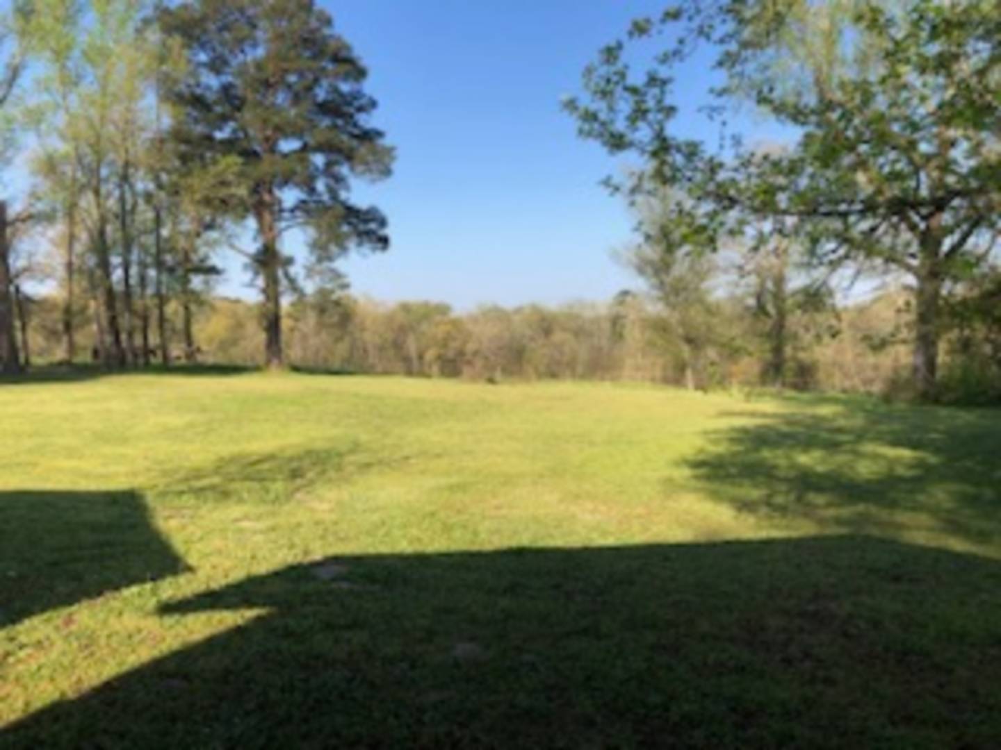 6330 FM 248, #Block 19 Lot 1-7, Kildare, TX 75562 (Off Market ...