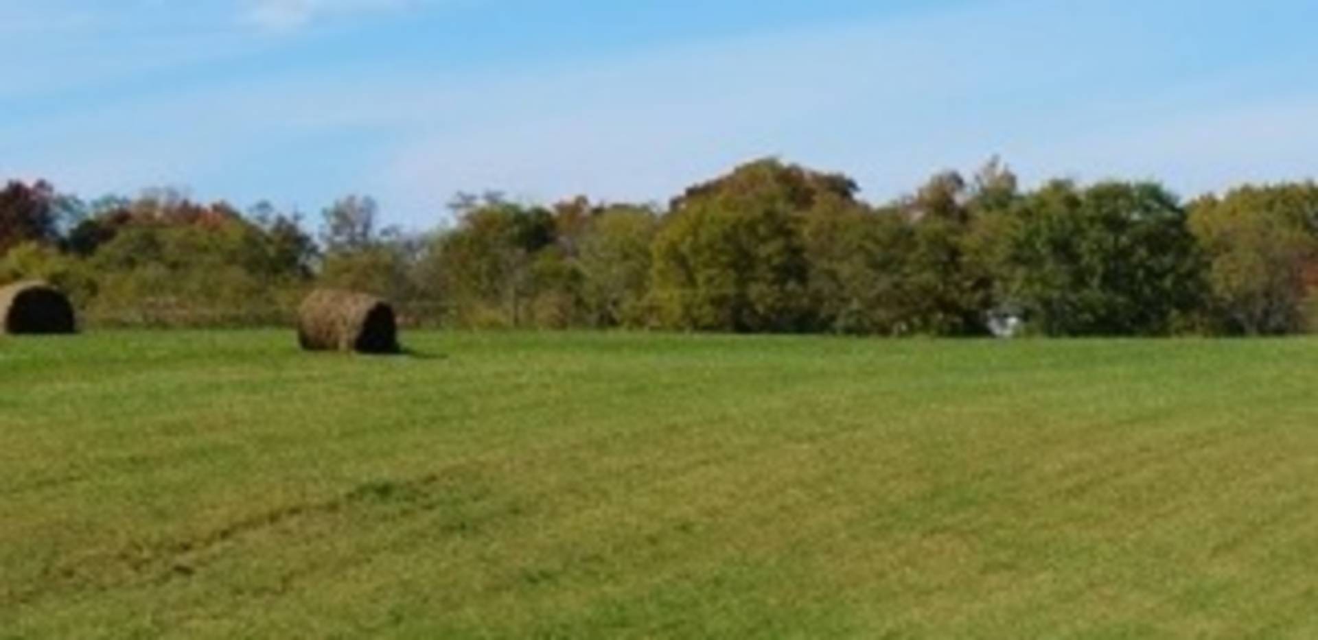Breeding Loop, #3, Breeding, KY 42715 (Sold NYStateMLS Listing #10605205)