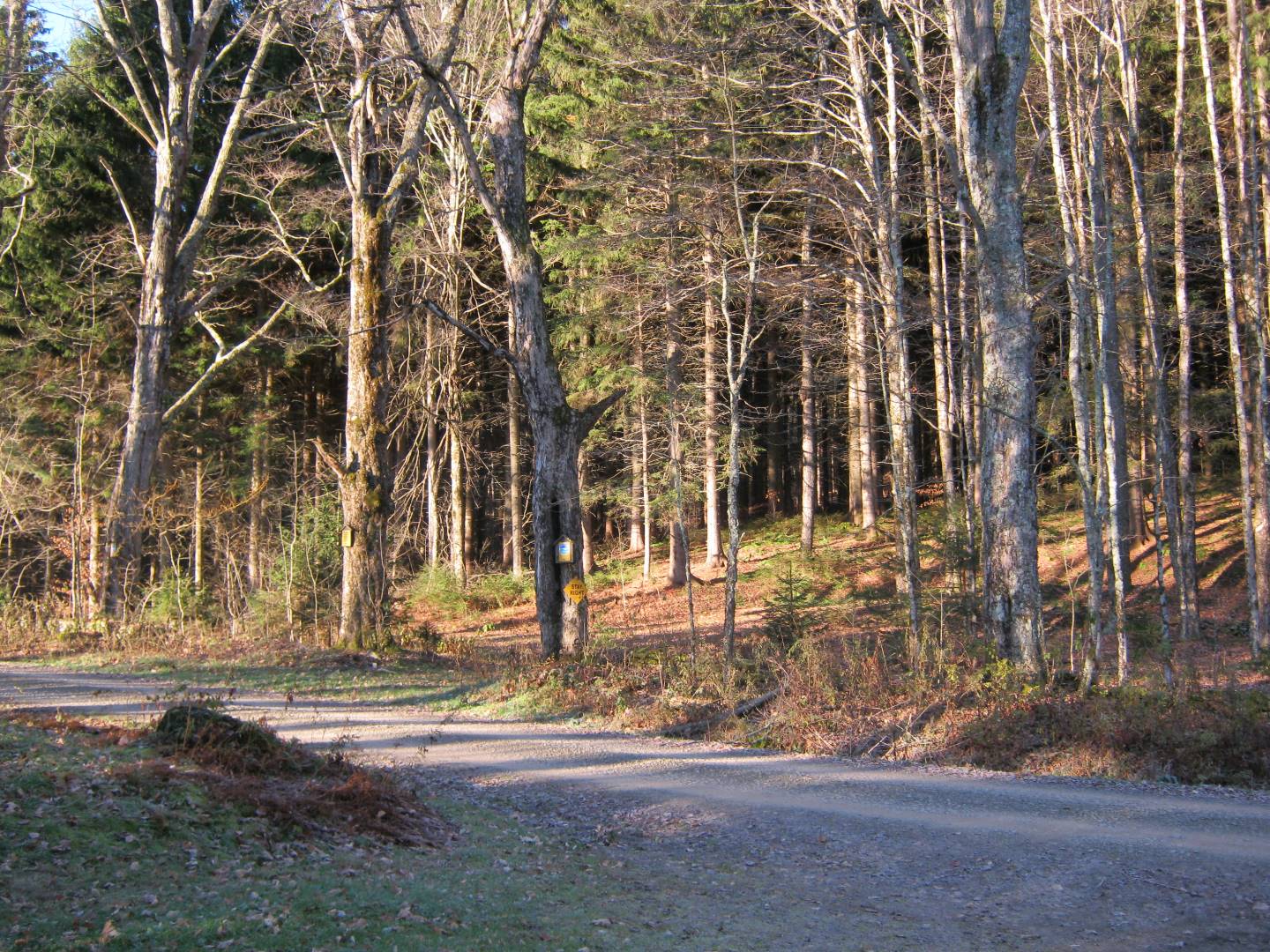 STEAM MILL ROAD, DEPOSIT, NY 13754 (Off Market NYStateMLS Listing ...