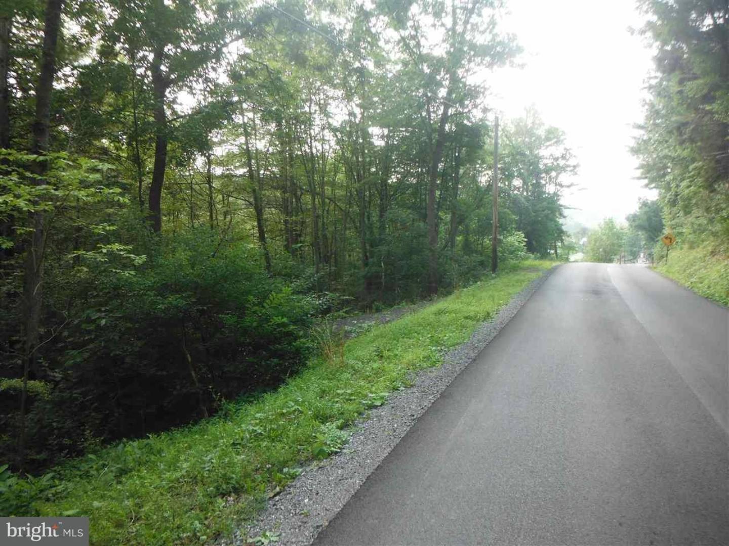 German Rd. & Little Plum Run Rd, Lock Haven, PA 17745 (Off Market ...