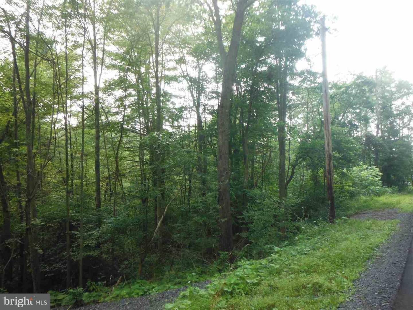 German Rd. & Little Plum Run Rd, Lock Haven, PA 17745 (Off Market ...