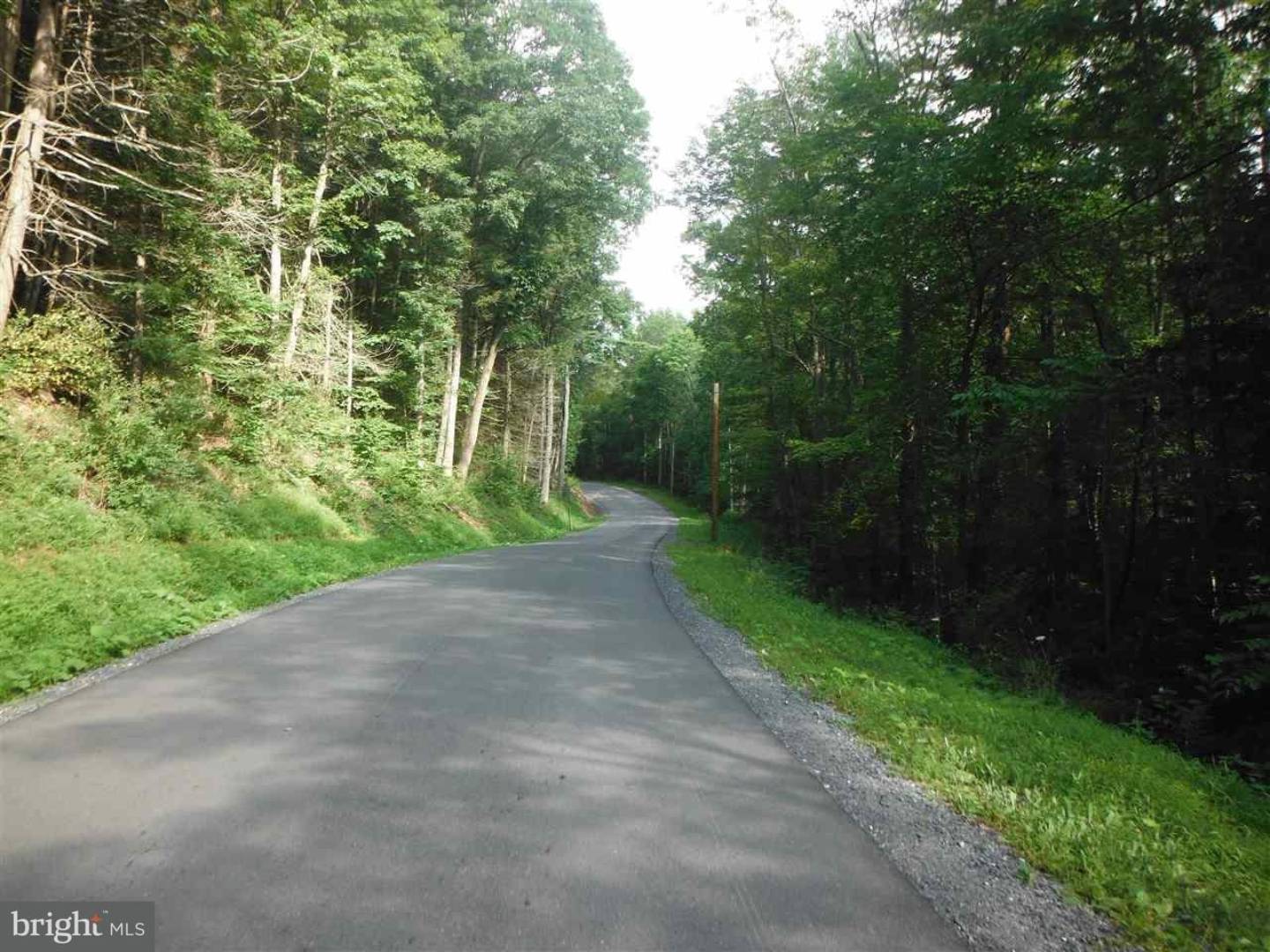 German Rd. & Little Plum Run Rd, Lock Haven, PA 17745 (Off Market ...