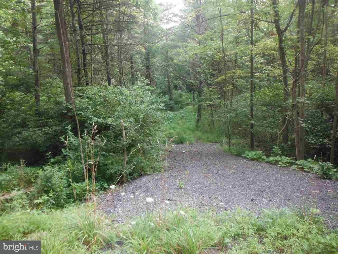 German Rd. & Little Plum Run Rd, Lock Haven, PA 17745 (Off Market ...