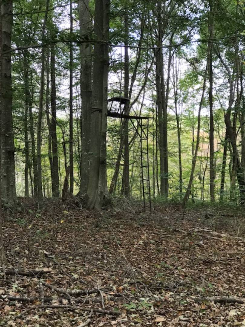 Anderson Rd., #42, Breeding, KY 42715 (Off Market NYStateMLS Listing ...