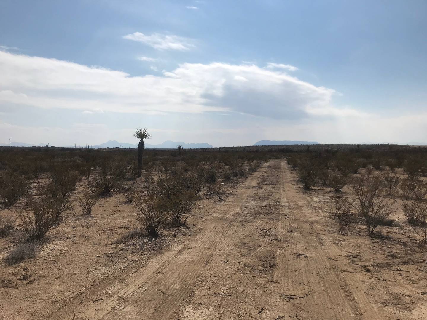 118 Hwy 118 South, #215/6, Alpine, TX 79830 (Sold MyStateMLS Listing ...