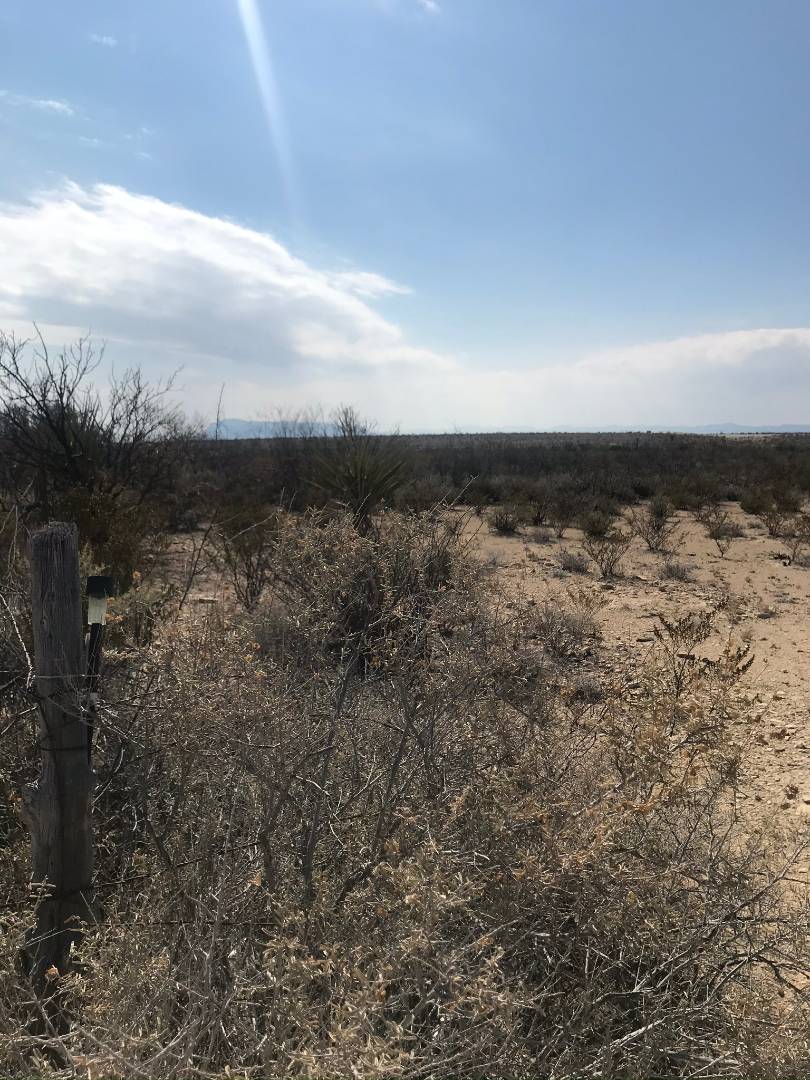 118 Hwy 118 South, #215/6, Alpine, TX 79830 (Sold MyStateMLS Listing ...