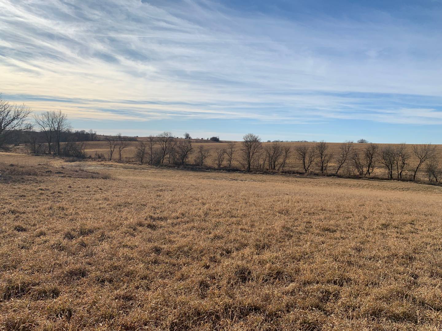 -- Mormon Trail, Weldon, IA 50264 (Sold NYStateMLS Listing #10694645)