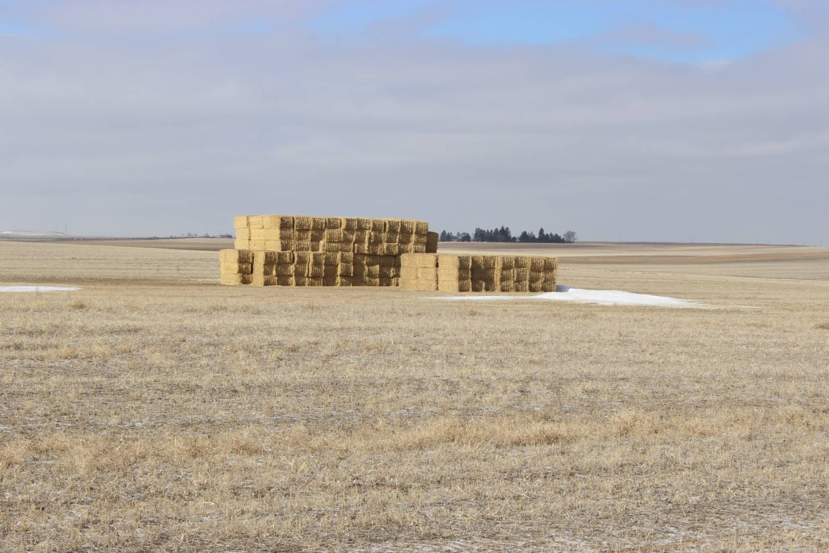 Rd 7&12, Harrisburg, NE 69345 (Sold NYStateMLS Listing #10732544)