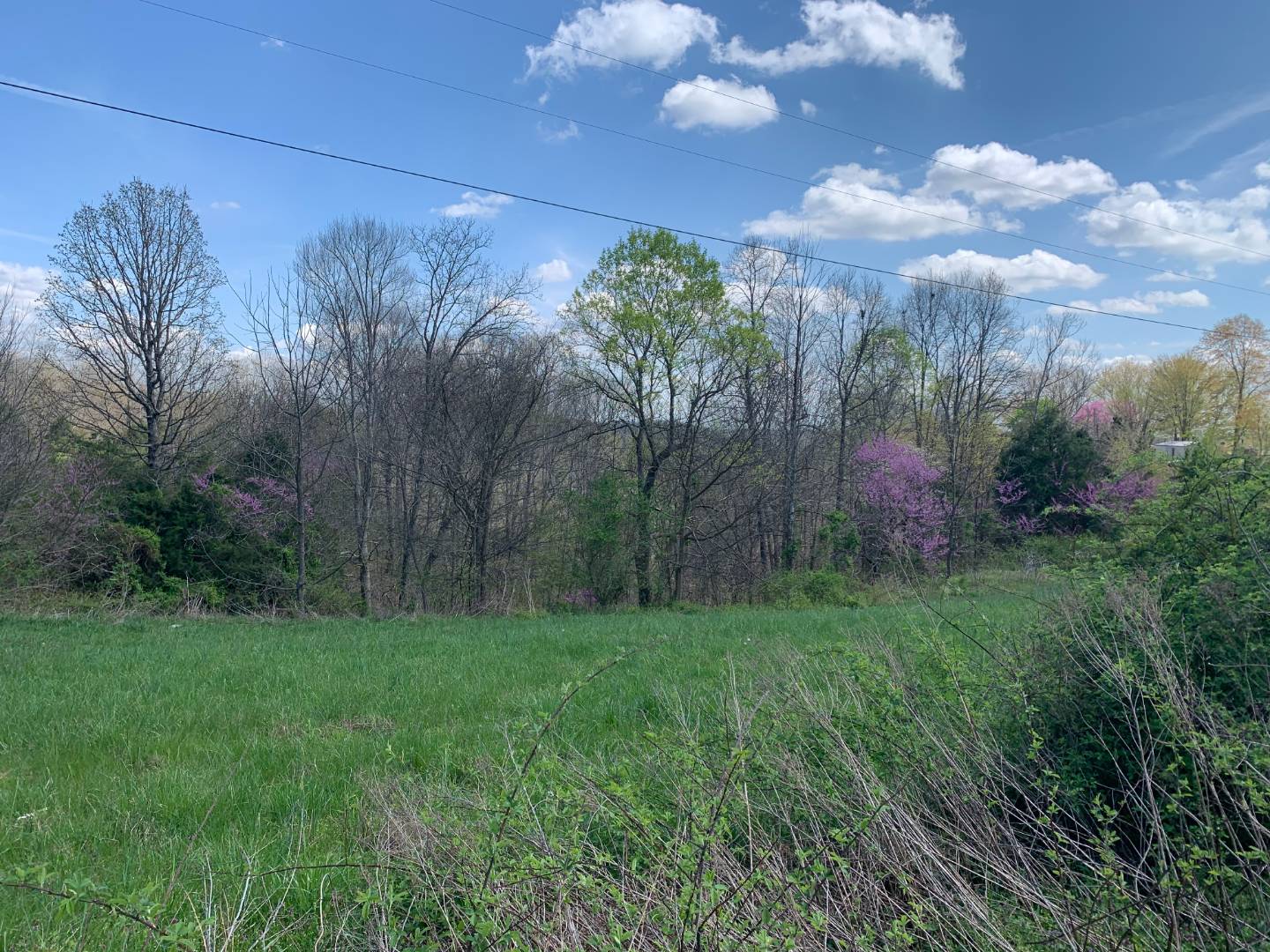 0 Combs Rd., Dunnville, KY 42528 (Off Market MyStateMLS Listing #10874602)
