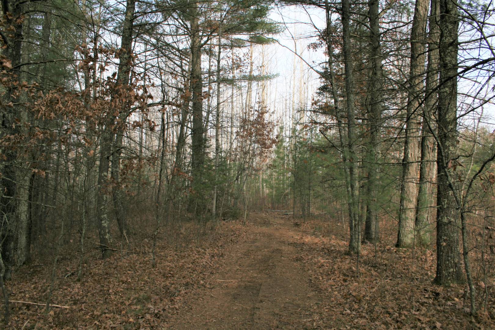 Lot #2 Bennet Road, Amberg, WI 54102 (Sold NYStateMLS Listing #10889851)