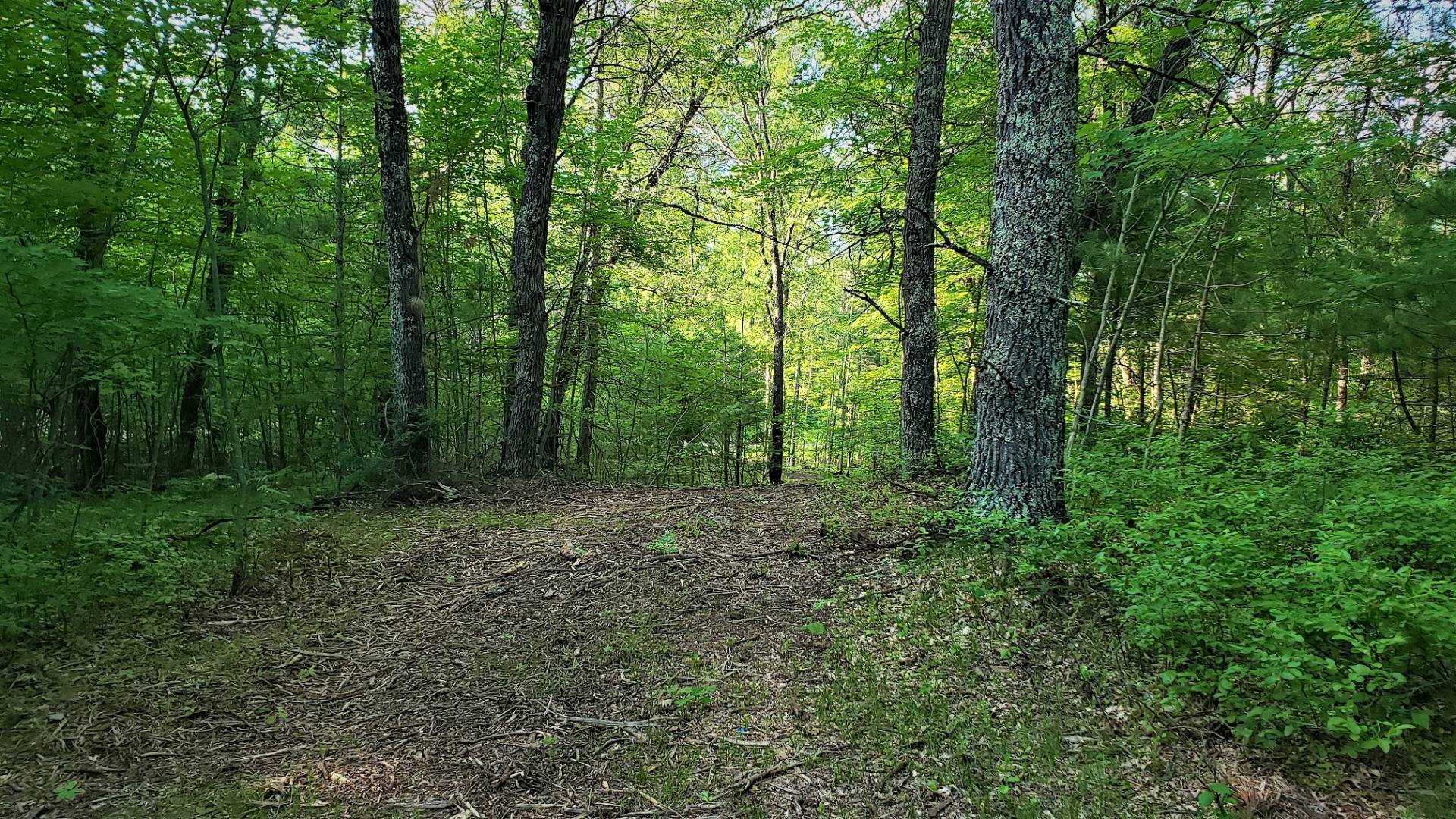 Lot #7 Bennet Road, Amberg, WI 54102 (Sold NYStateMLS Listing #10889853)