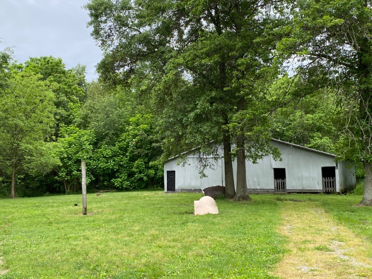 1431 County Road 1300 E, Geff, IL 62842 (Sold MyStateMLS Listing #10897504)