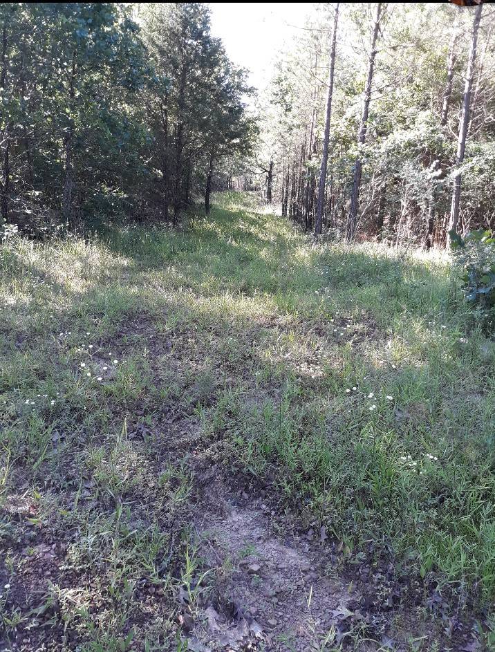 123 Panola Mtn, Panola, OK 74559 (Sold NYStateMLS Listing #10897943)